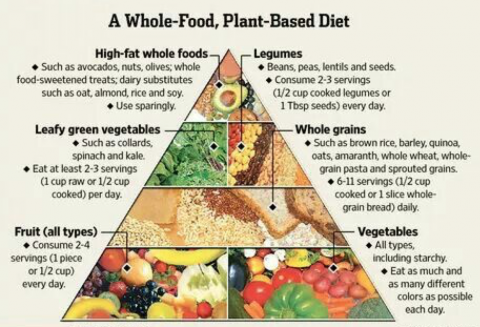 Plant-based diet index | Plant Based Health Professionals UK