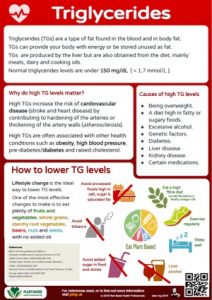 Plant-Based Diet Factsheets | Plant Based Health Professionals UK